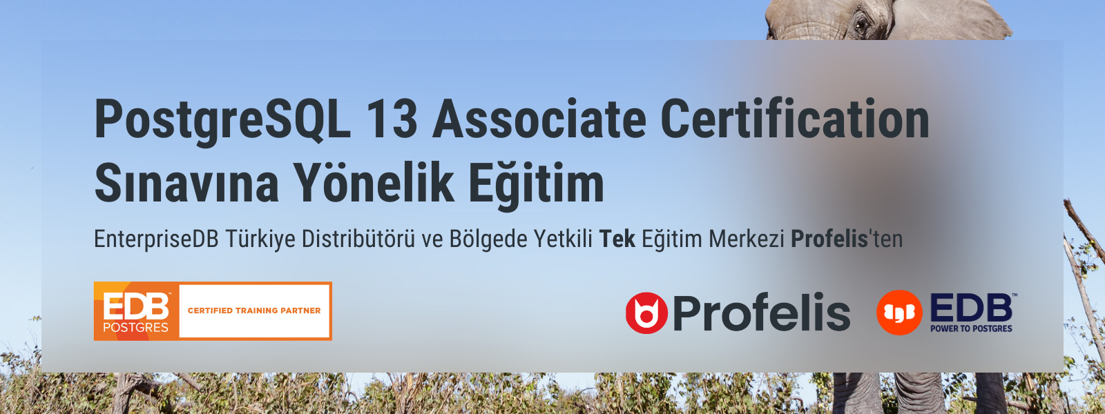 PostgreSQL Uzmanlığınızı Sertifikalandırın!